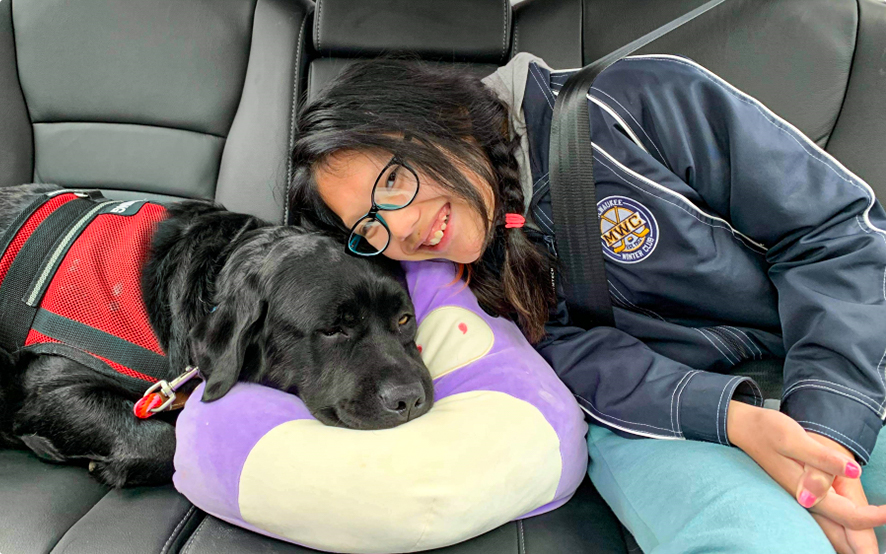 Service Dogs For Kids With Autism In Wisconsin Apply Today Dogs In Service Dogs For Kids With Autism In Wisconsin Apply Today Dogs In